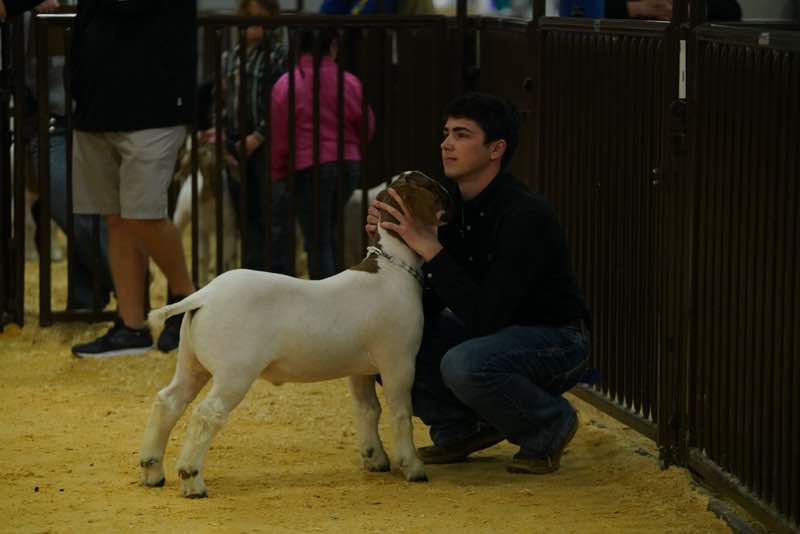 2021 Bell County Fair - Past Shows - 2021 Shows - We Know Livestock