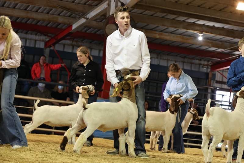 2021 Denton County Youth Fair - Past Shows - 2021 Shows - We Know Livestock